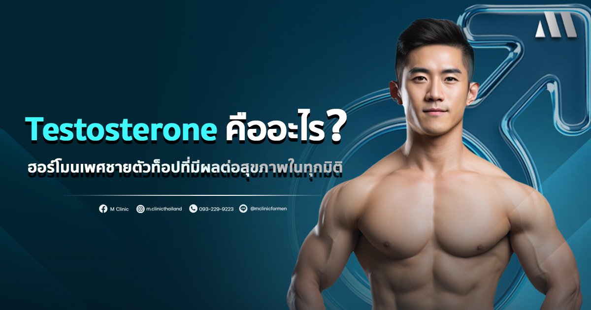 Testosterone คืออะไร? ฮอร์โมนเพศชายตัวท็อปที่มีผลต่อสุขภาพในทุกมิติ - M ...