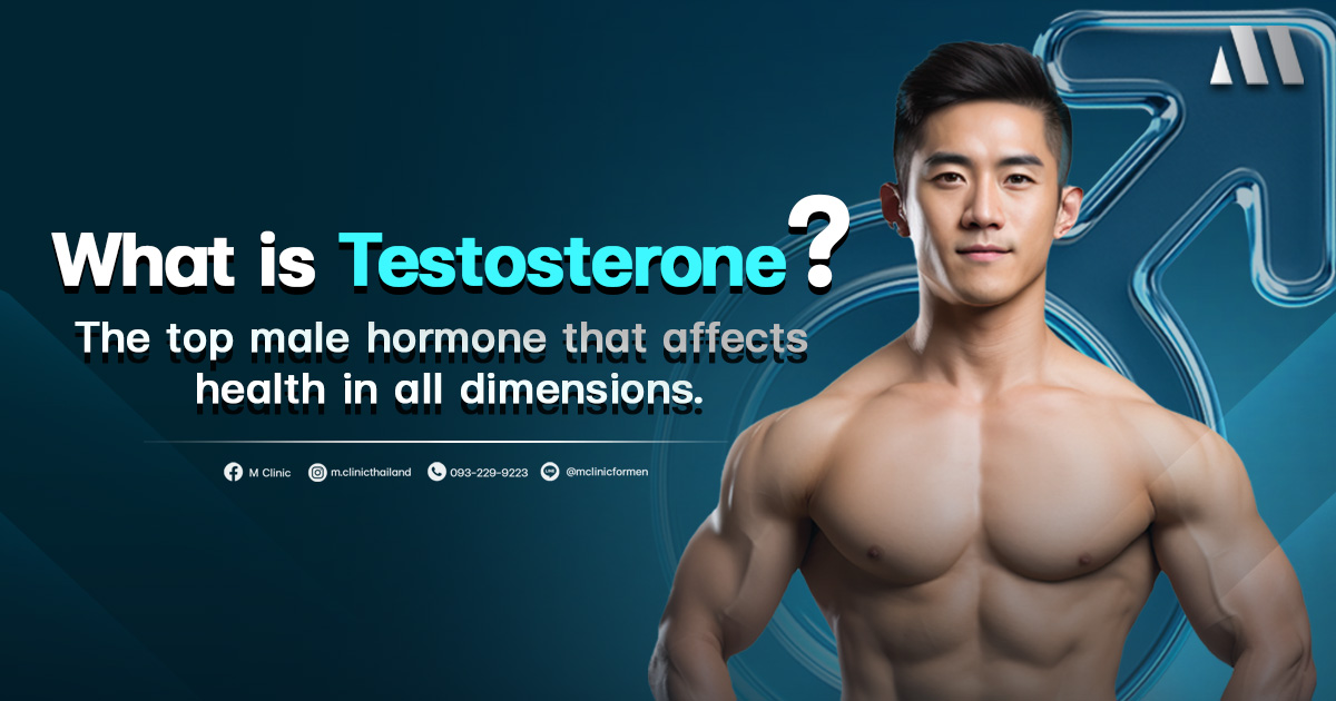 What is Testosterone? The top male hormone that affects health in all ...