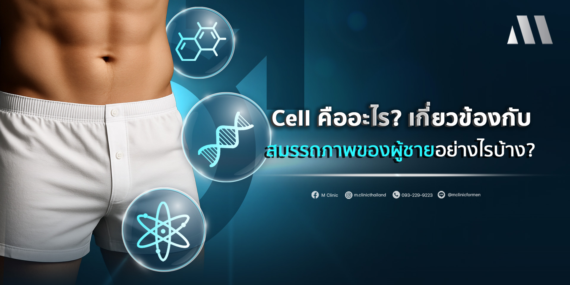 Cell คืออะไร? เกี่ยวข้องกับสมรรถภาพของผู้ชายอย่างไรบ้าง? - M Clinic ...